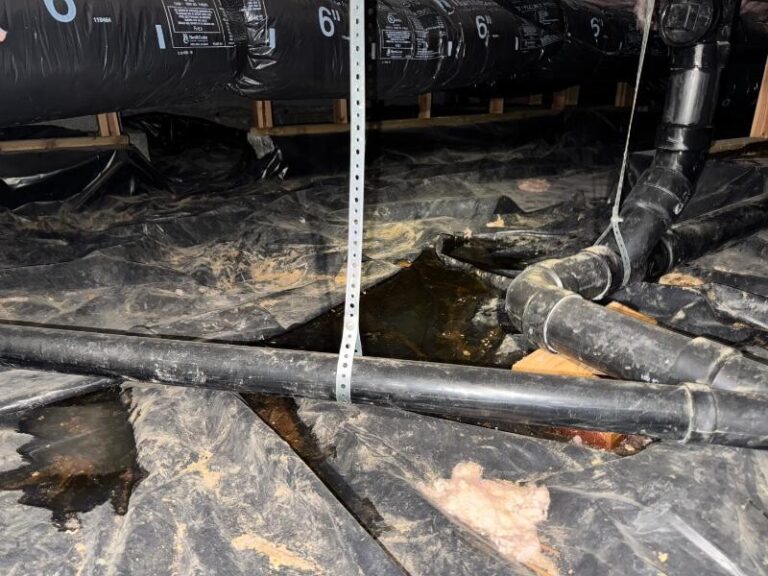 Sewage Cleanup